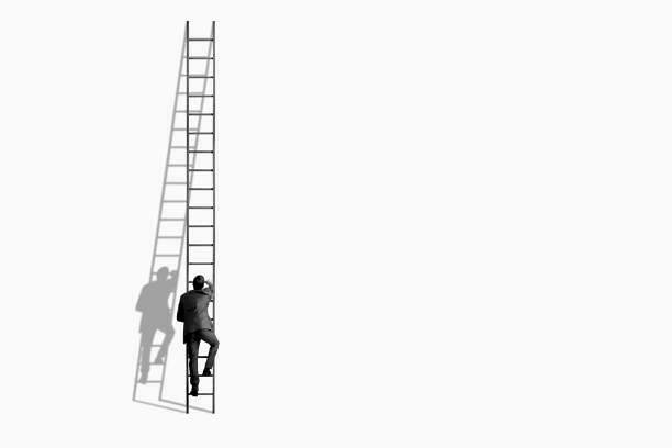 LADDER - FINC Architects
